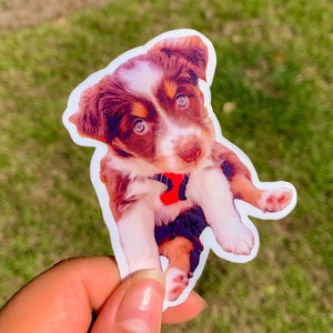 Custom Pet Sticker | Pet Photo Sticker - Etsy
