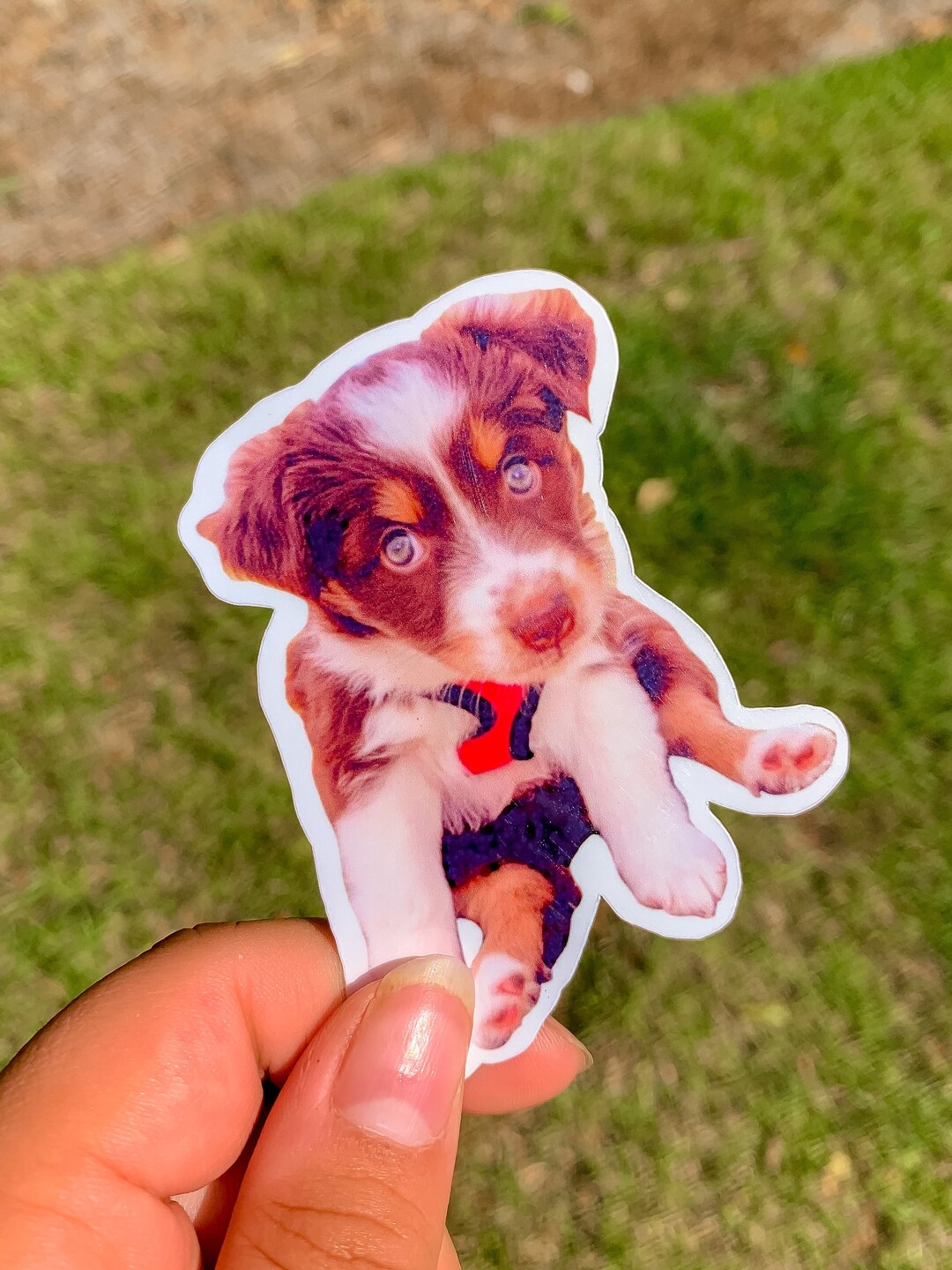 Custom Pet Sticker | Pet Photo Sticker - Etsy