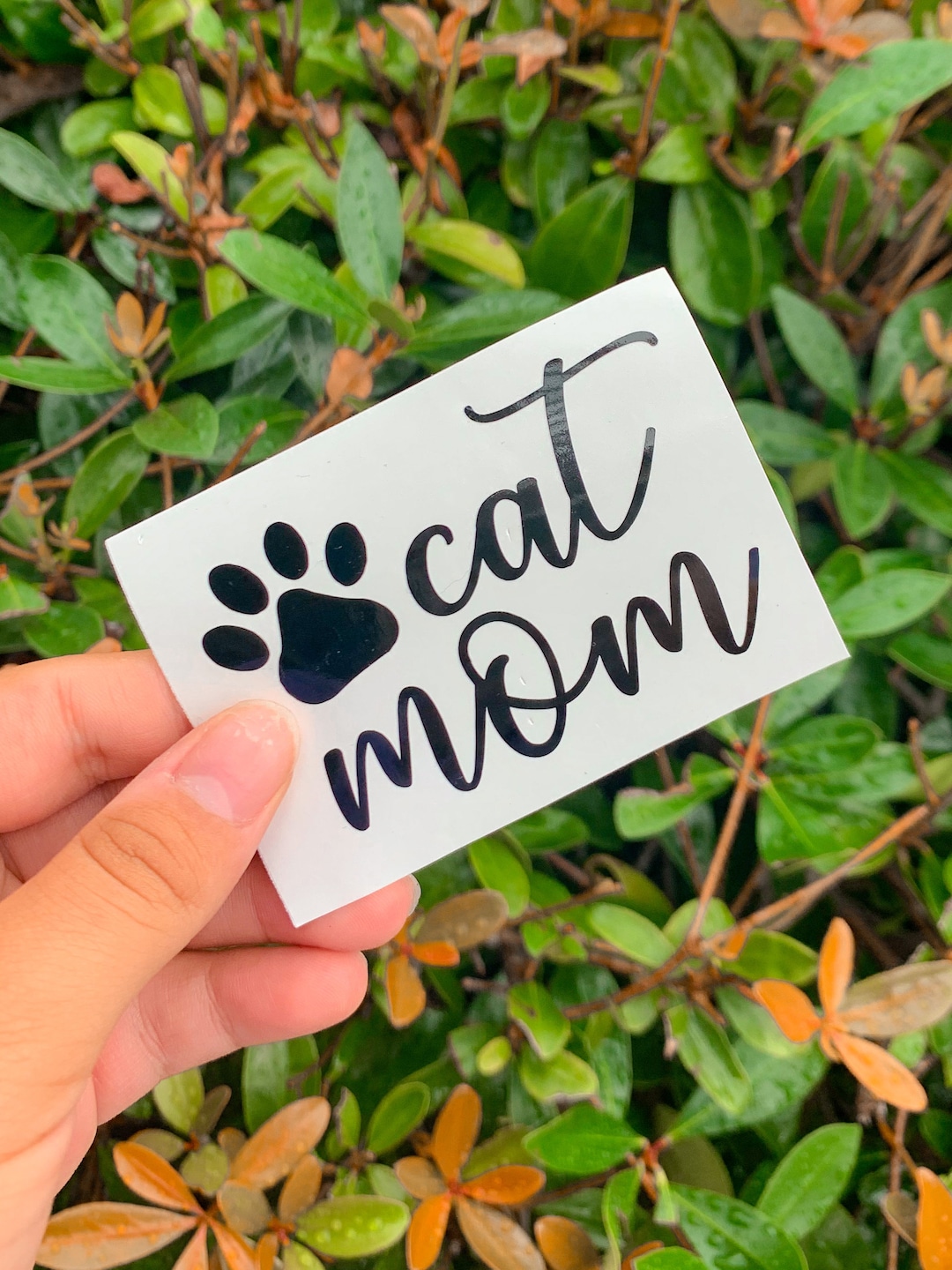 Cat Mom Decal, Cat Momma, Car Decal, Water Bottle Decal, Vinyl Decal - Etsy