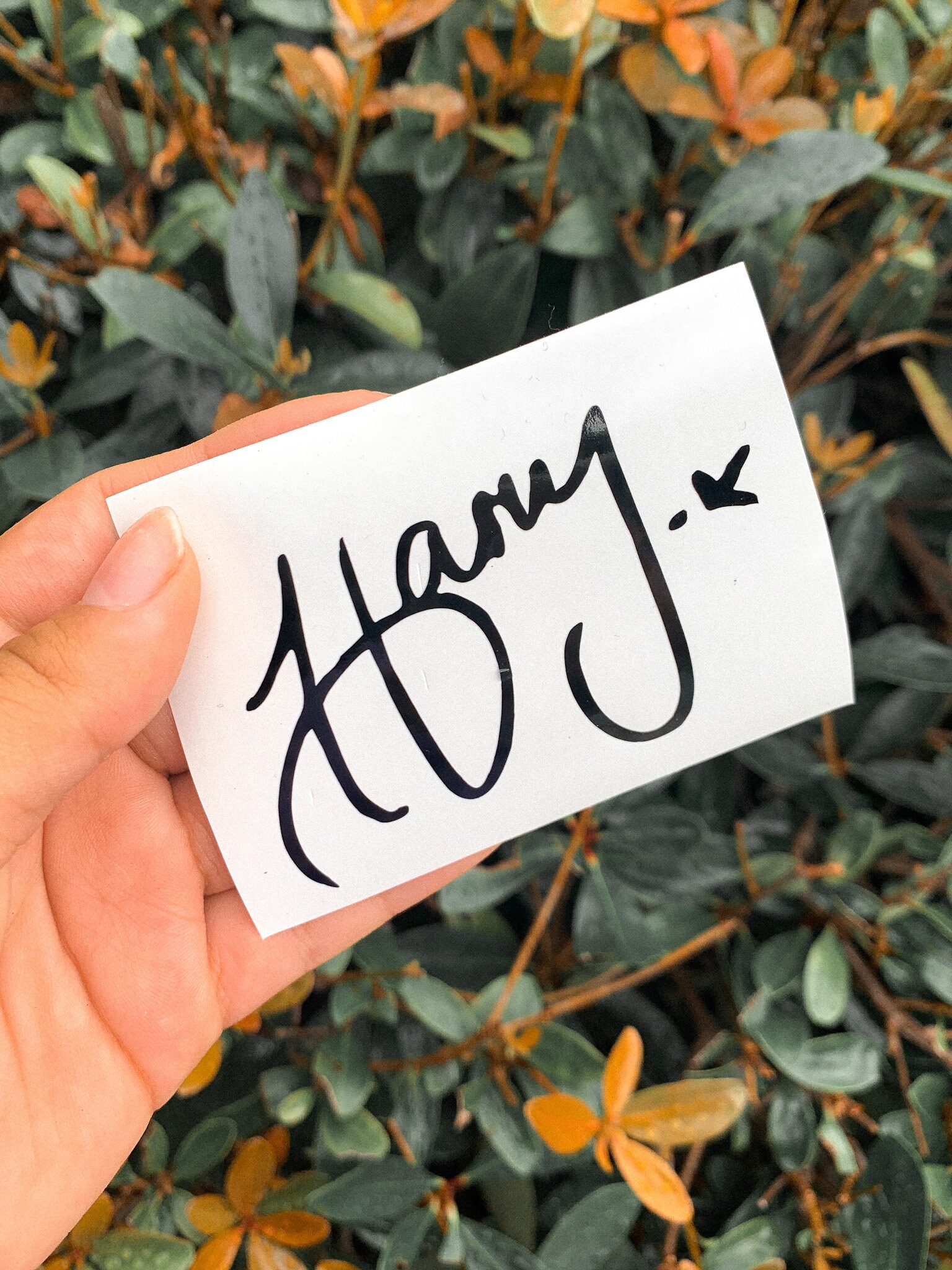 Harry Styles Signature Vinyl Sticker | Etsy