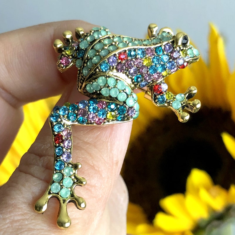 Frog Brooch - Etsy