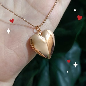 Dungeon Meshi Heart Locket Necklace - Etsy