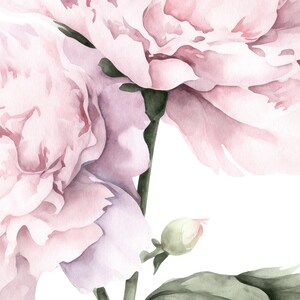 Light Pink Peony Watercolor Print Pink Floral Poster Hamptons Style ...