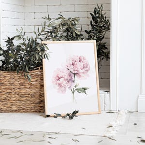Light Pink Peony Watercolor Print Pink Floral Poster Hamptons Style ...