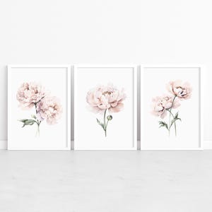 Watercolor Blush Pink Peonies Set of 3 Prints, Floral Poster Set Peach ...