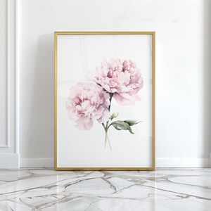 Light Pink Peony Watercolor Print Pink Floral Poster Hamptons Style ...