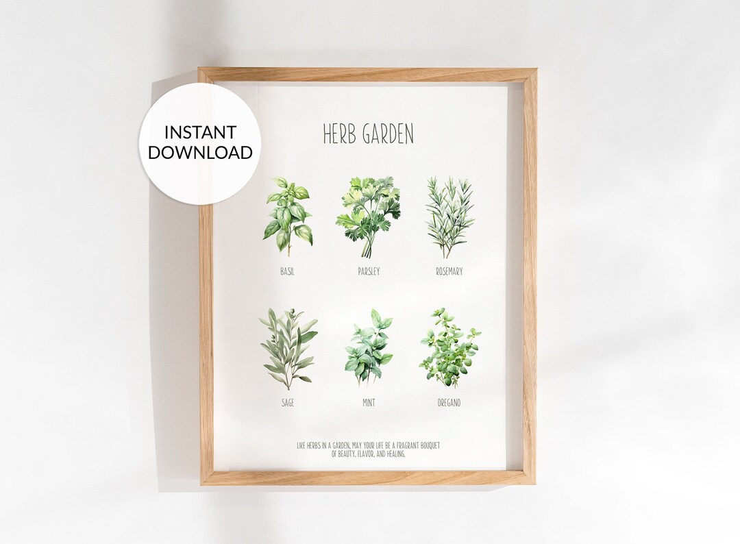Herbs Chart Watercolor Printable Prints Botanical Wall Art - Etsy