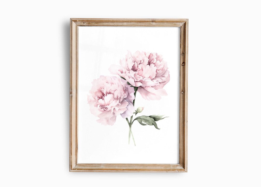 Light Pink Peony Watercolor Print Pink Floral Poster Hamptons Style ...