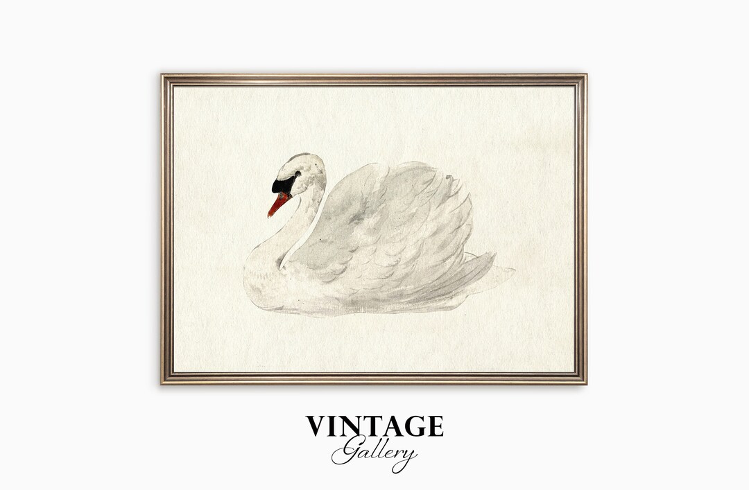 Vintage Swan Print Neutral Wall Art, Beige Moody Antique Bird Painting ...