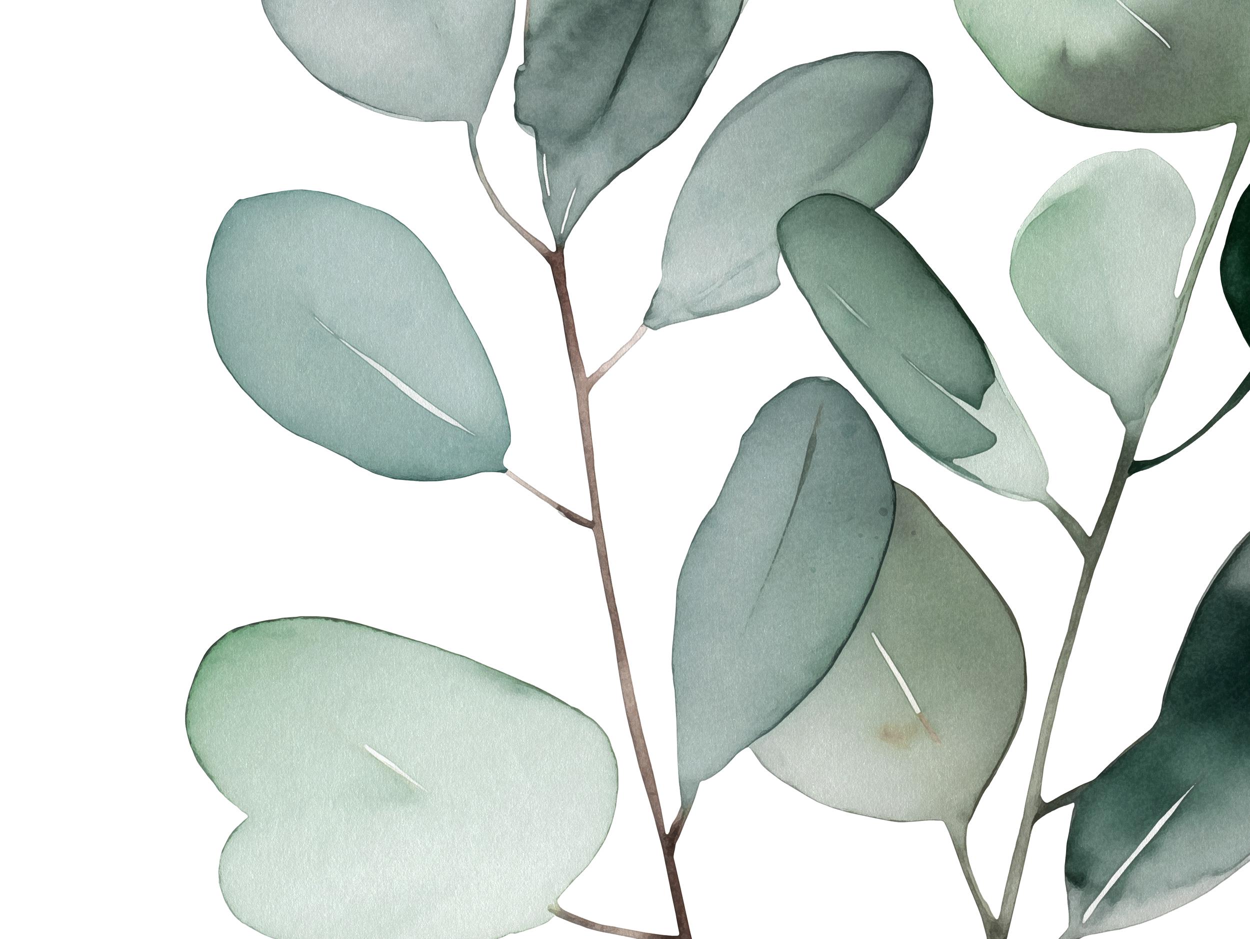 Eucalyptus Watercolor Set of 3 Prints, Minimalist Greenery Wall Art ...