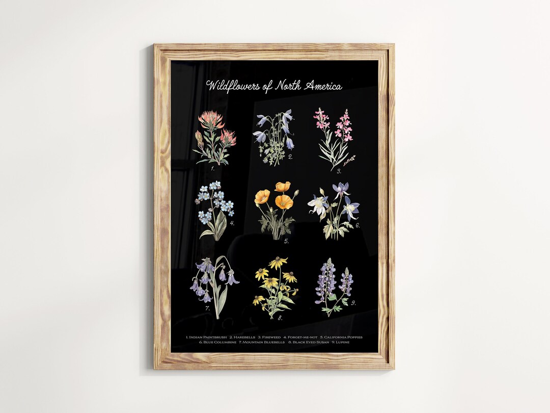 Wildflowers of North America Chart Poster, Watercolor Black Botanical ...