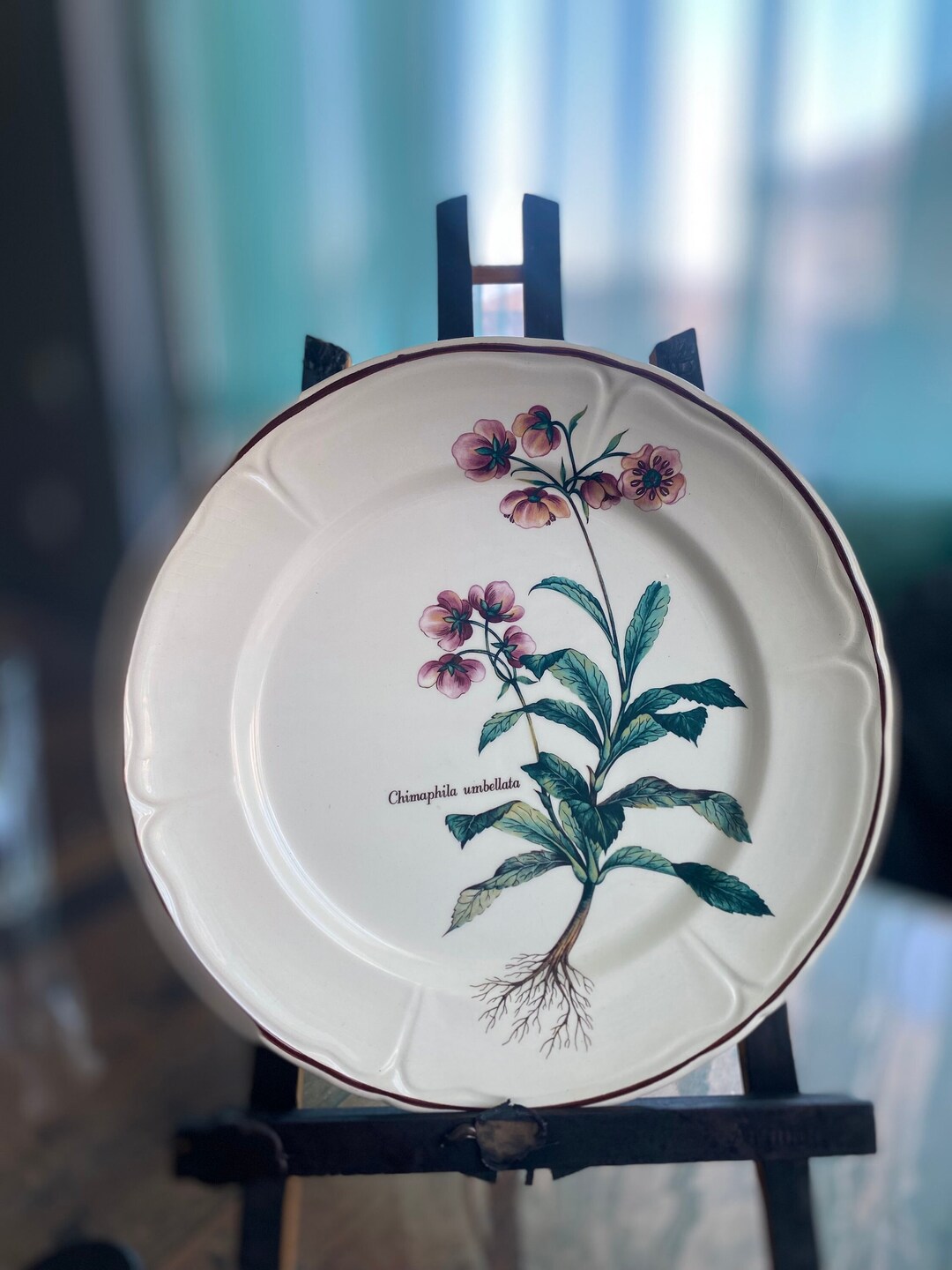 Herbalist Flat Plate, Botanical Ceramic Platte, Dinner Plate, Botanica ...