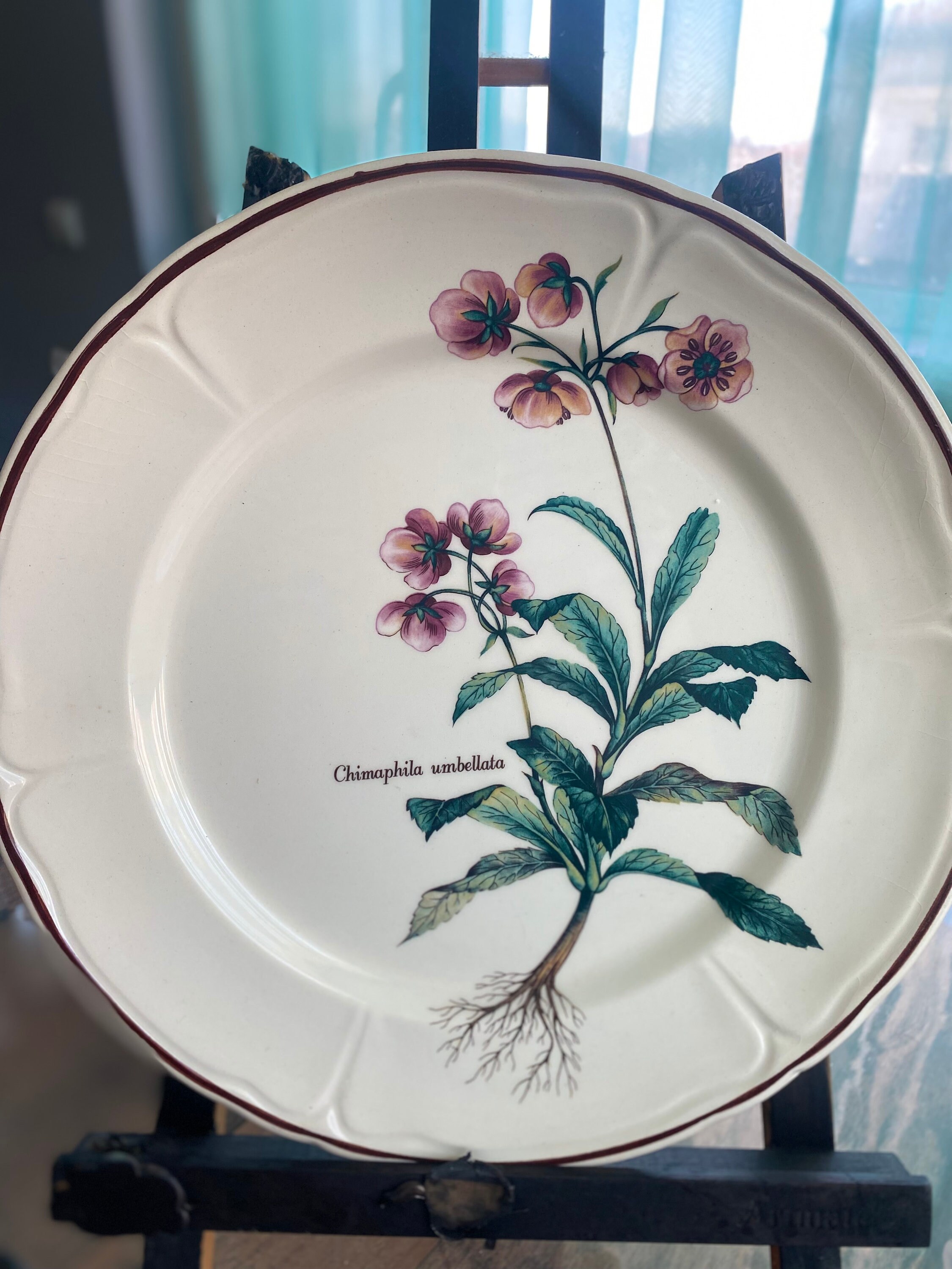Herbalist Flat Plate, Botanical Ceramic Platte, Dinner Plate, Botanica ...