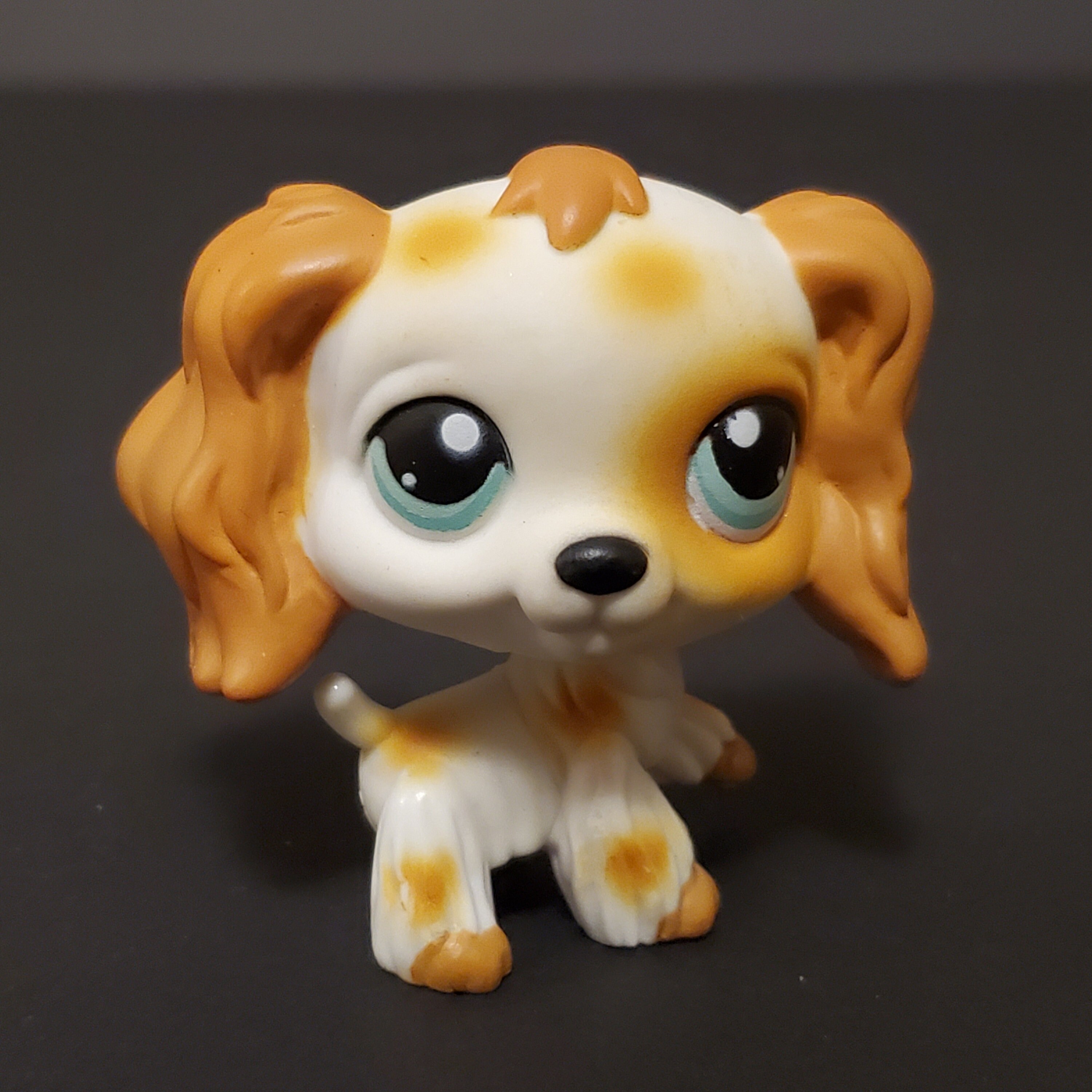 Littlest Pet Shop LPS Authentic Cocker Spaniel Dogs 347 | Etsy
