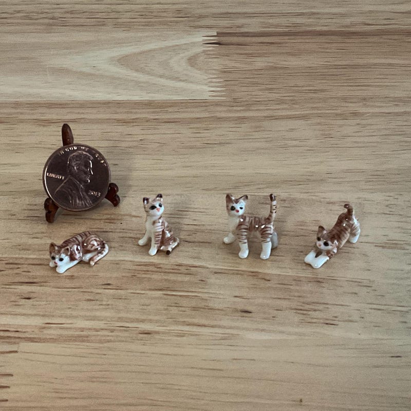 Miniature Cats - Etsy