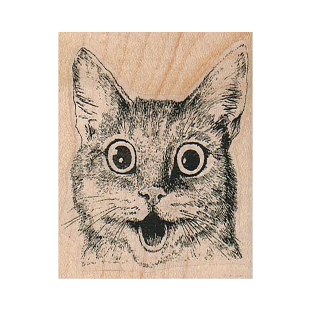 Surprised Cat RUBBER STAMP, Kitty Cat Stamp, Cat Stamp, Shocked Cat ...