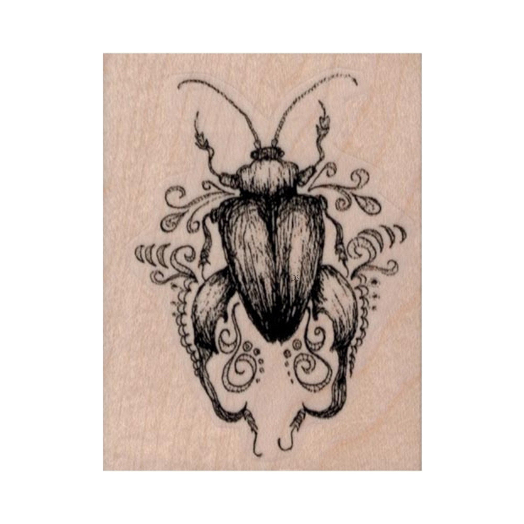Fancy Scarab/beetle RUBBER STAMP Insect Stamp Bug Stamp - Etsy