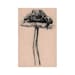 Toad on Toadstool RUBBER STAMP, Toad Stamp, Frog Stamp, Toadstool Stamp ...