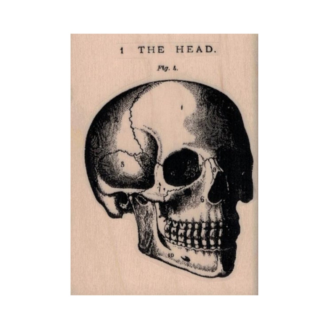 Human Skull RUBBER STAMP, Skull Stamp, Halloween Stamp, Bones Stamp ...
