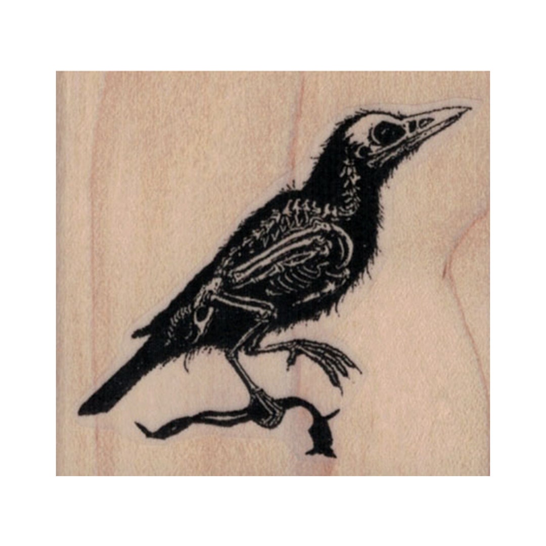 Raven Specimen RUBBER STAMP, Bird Stamp, Bird Skeleton Stamp, Raven ...