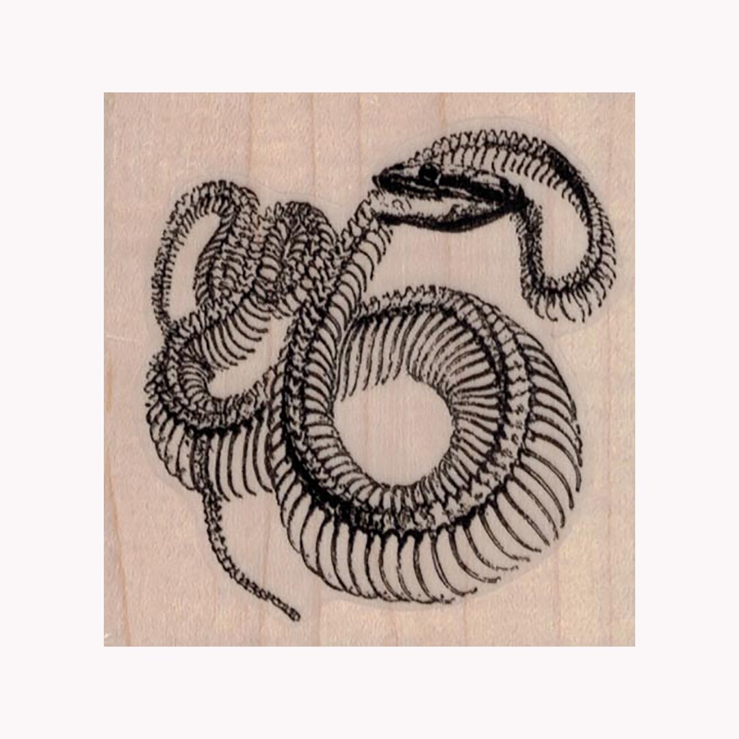 Snake Skeleton RUBBER STAMP, Snake Stamp, Snake Skeleton Stamp, Skull ...