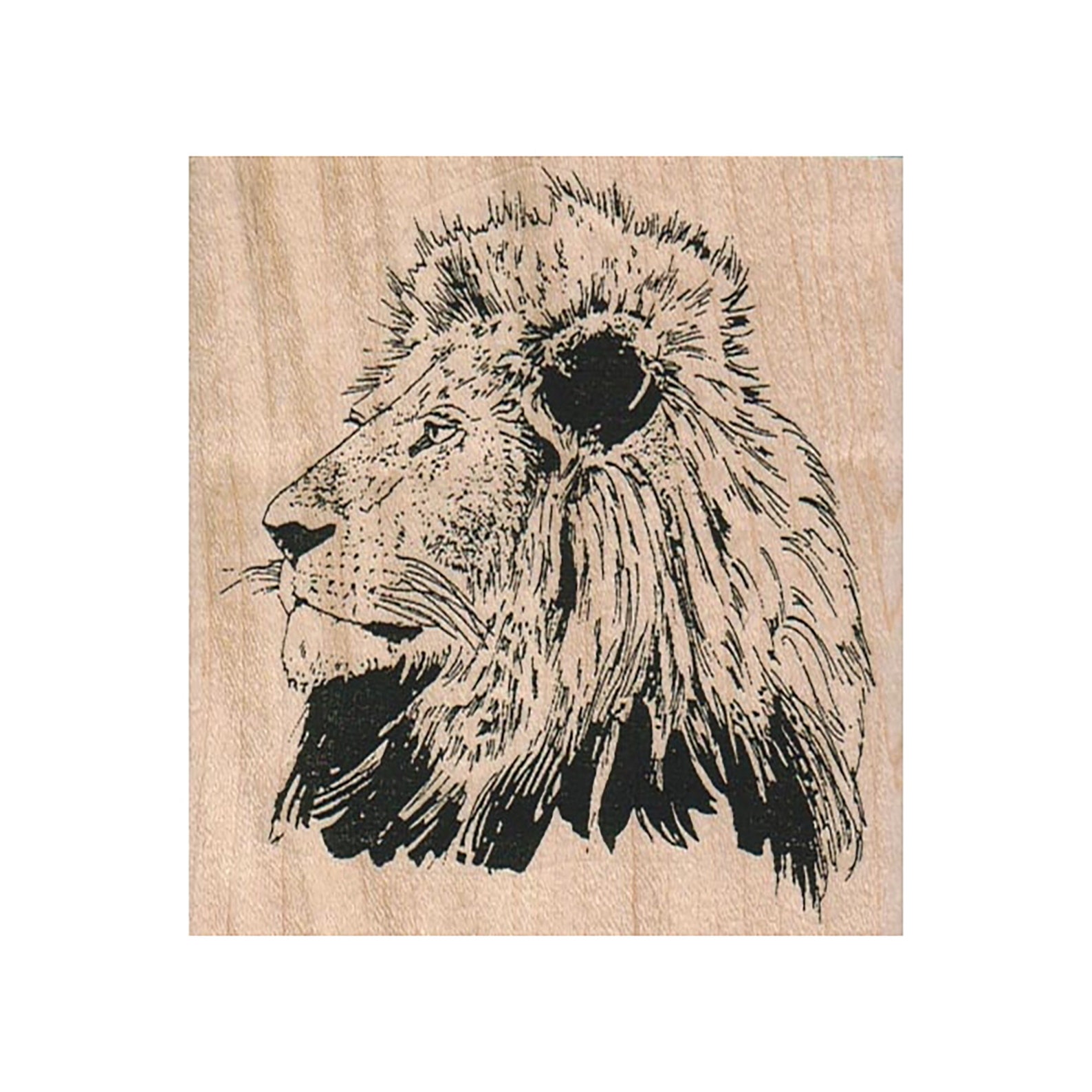 Lion RUBBER STAMP Lion Stamp King of the Jungle Stamp Pride - Etsy