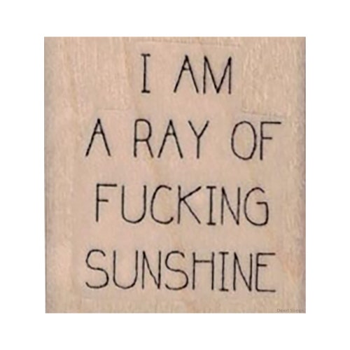 I Am A Ray of Fcking Sunshine RUBBER STAMP Funny Stamp - Etsy
