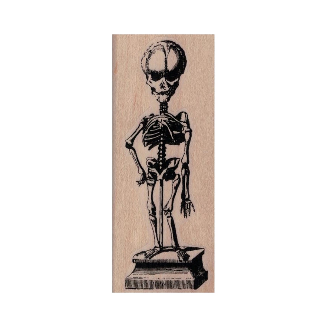 Skeleton on Pedestal RUBBER STAMP, Halloween Stamp, Skeleton Stamp ...