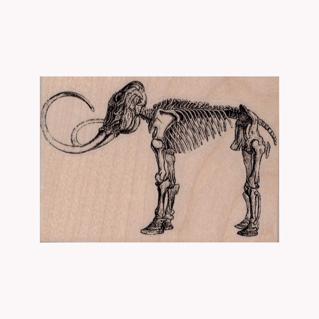 Woolly Mammoth Skeleton RUBBER STAMP, Woolly Mammoth Stamp, Skeleton ...