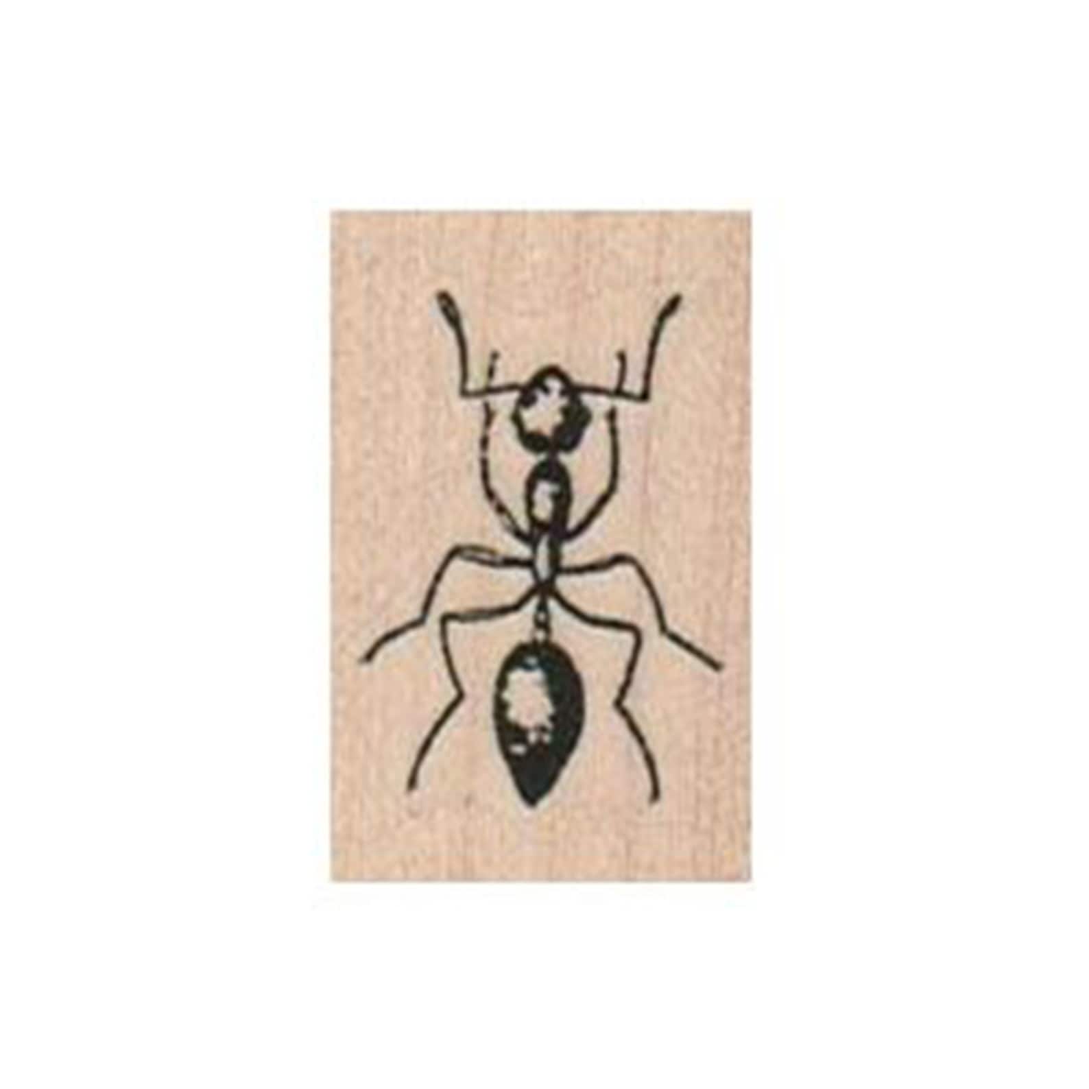 Ant Top View RUBBER STAMP Insect Stamp Bug Stamp Entomology - Etsy