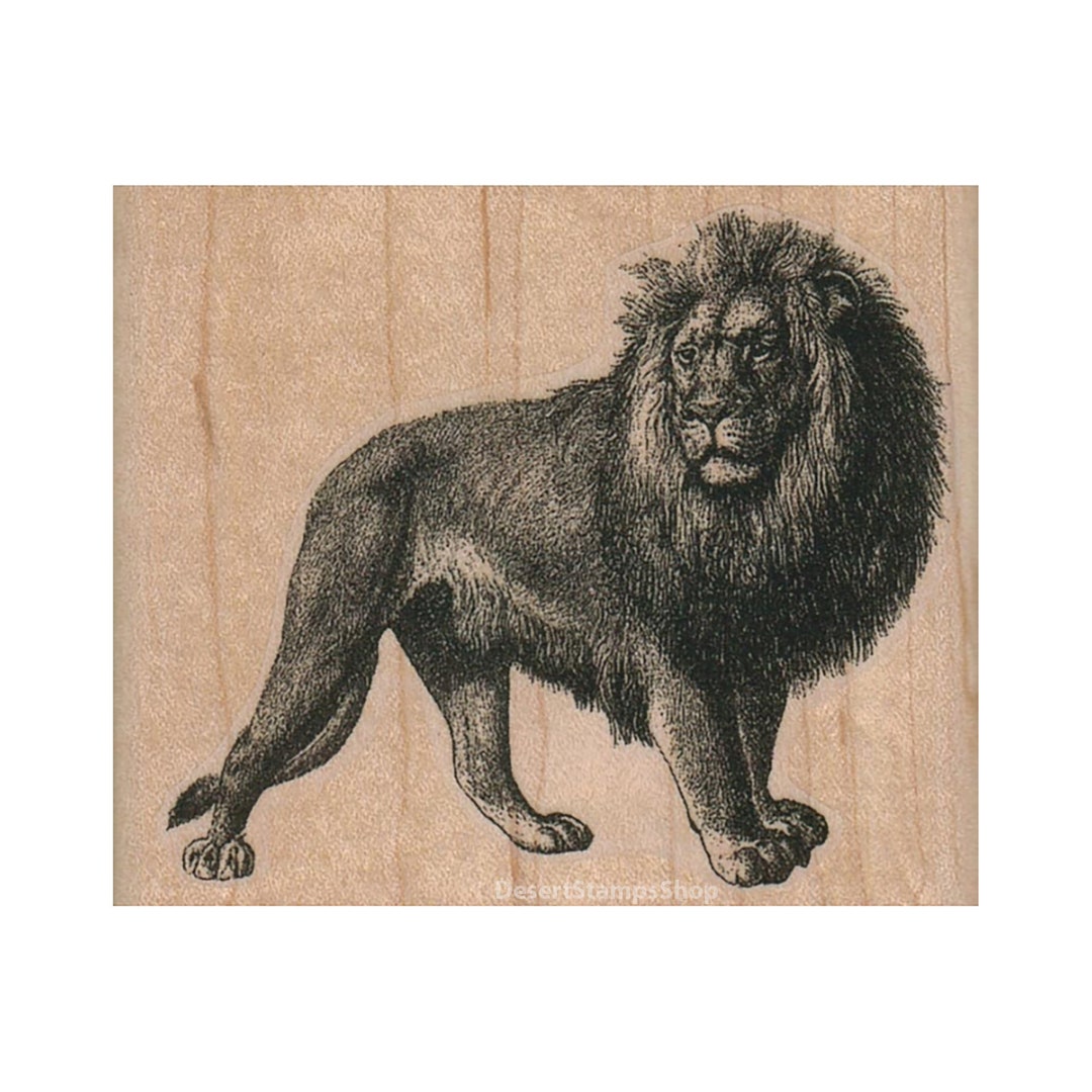 Lion Side View RUBBER STAMP, Lion Stamp, King of the Jungle Stamp ...