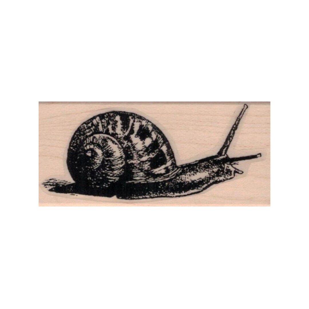 Snail RUBBER STAMP, Nature Stamp, Snail Stamp, Slug Stamp, Mollusca ...