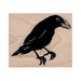 Raven RUBBER STAMP Halloween Stamp Raven Stamp Crow Stamp - Etsy