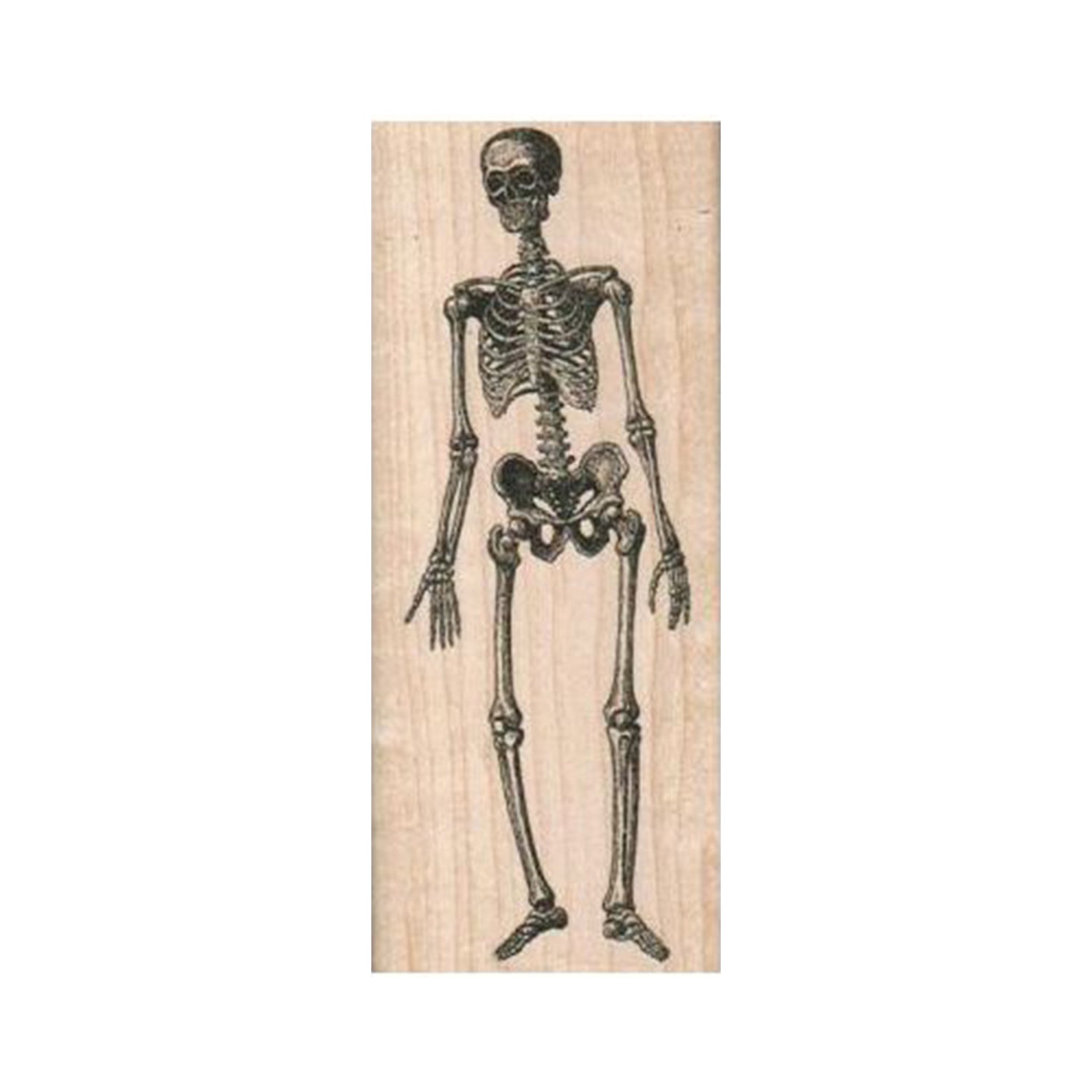 Skeleton RUBBER STAMP Halloween Stamp Spooky Halloween - Etsy