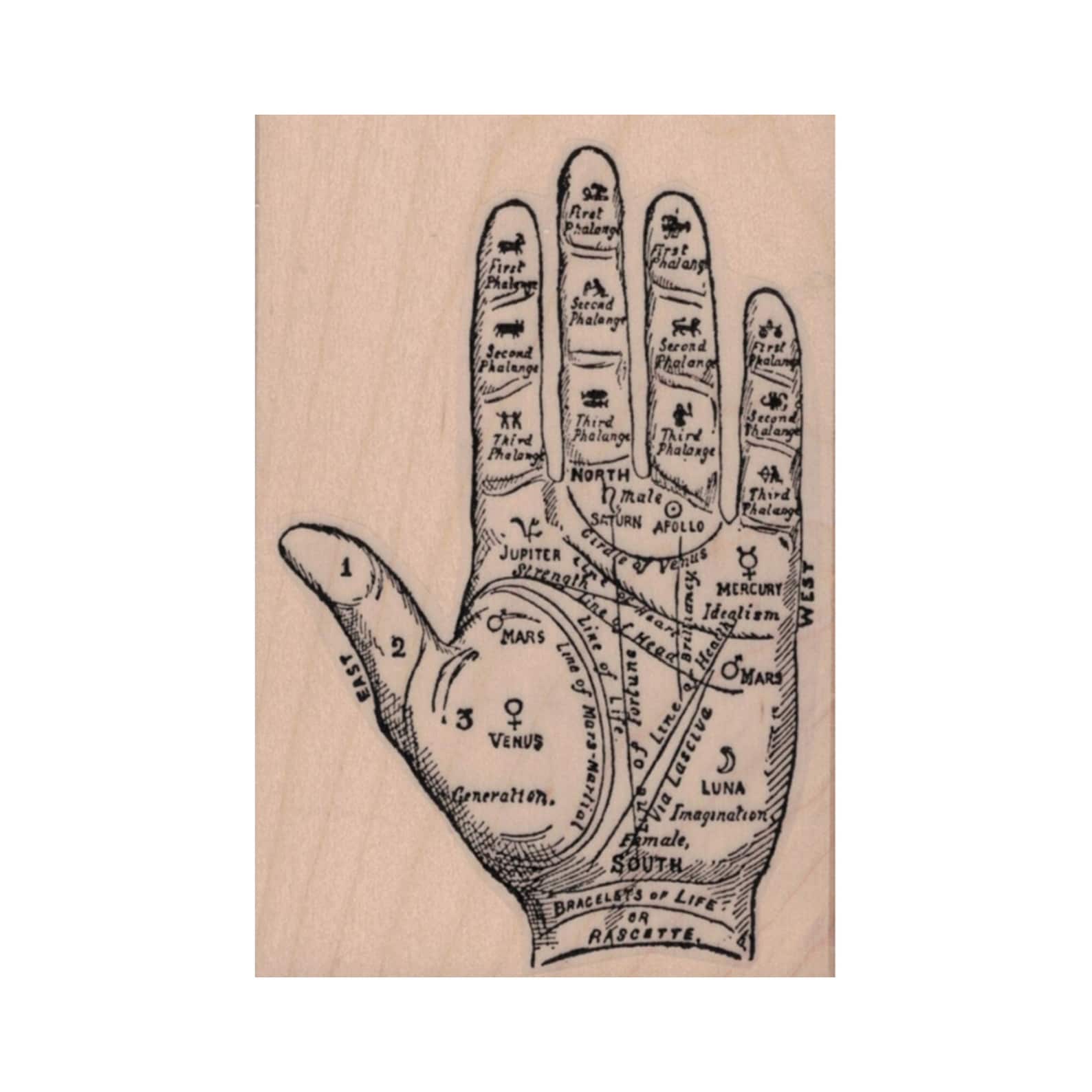Palmistry Palm RUBBER STAMP Fortune Teller Stamp Palm Reader | Etsy