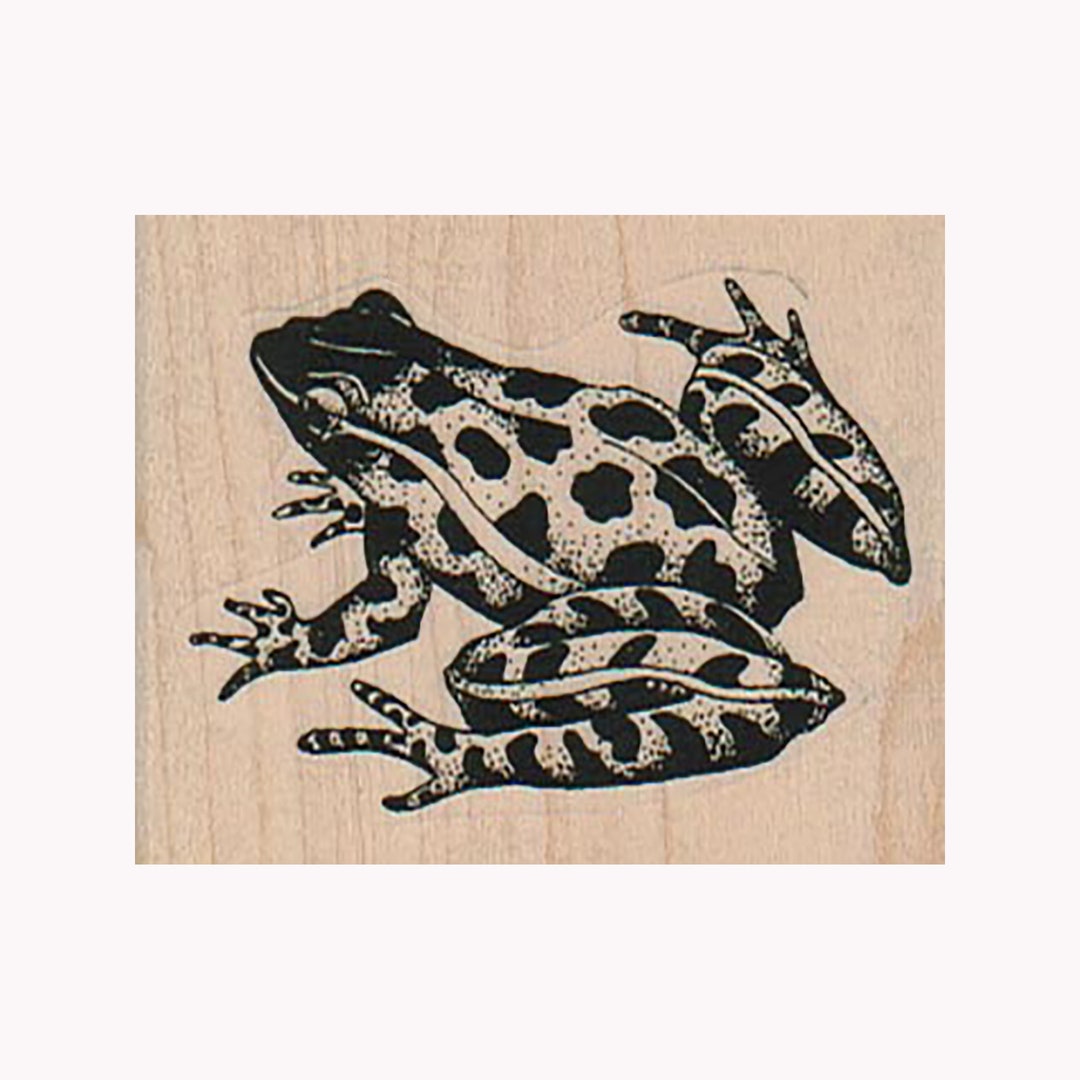 Leopard Frog RUBBER STAMP, Frog Stamp, Toadstool Stamp, Garden Stamp ...