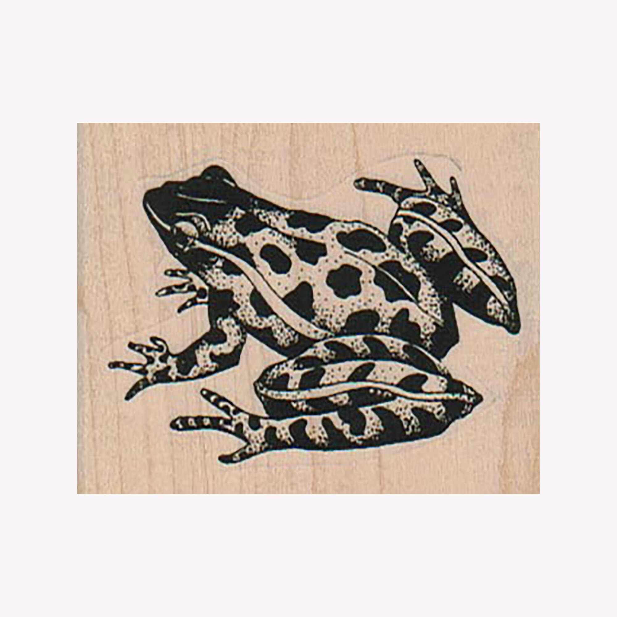 Leopard Frog RUBBER STAMP, Frog Stamp, Toadstool Stamp, Garden Stamp ...