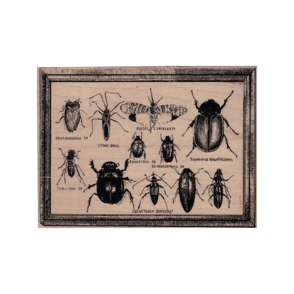 Bug Stamps - Etsy