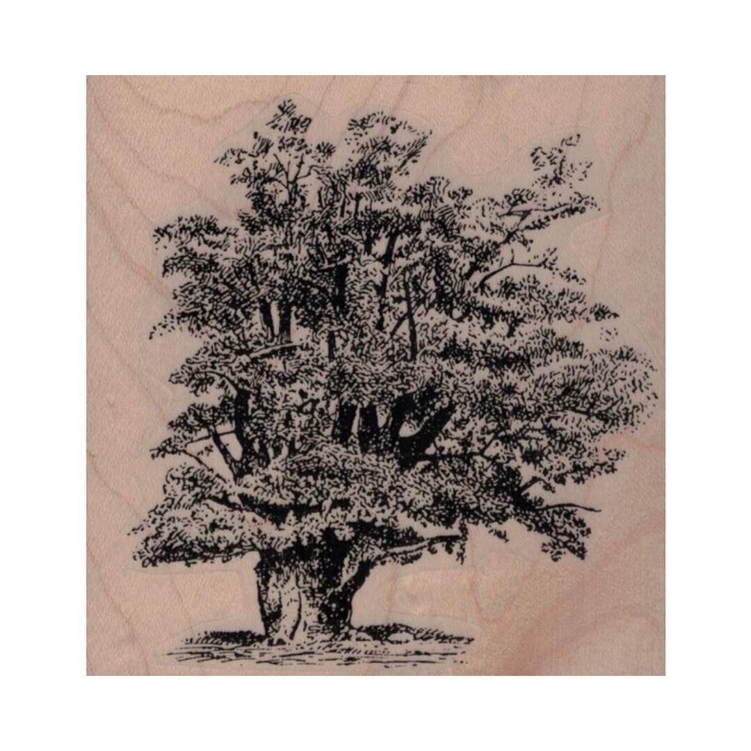 Leafy Tree RUBBER STAMP, Tree Stamp, Woods Stamp, Outdoor Stamp, Field ...