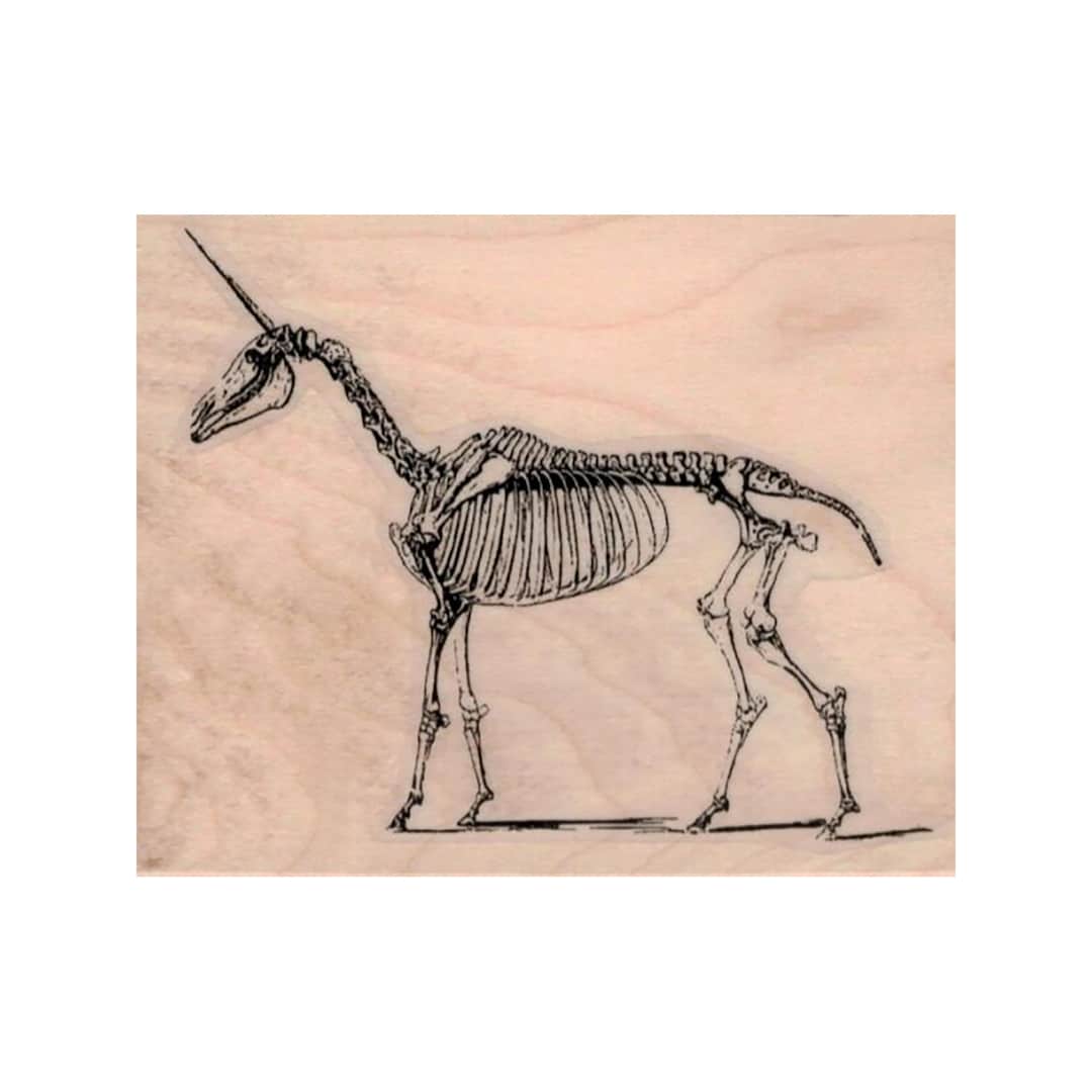 Unicorn Skeleton RUBBER STAMP, Halloween Stamp, Unicorn Stamp, Bones ...