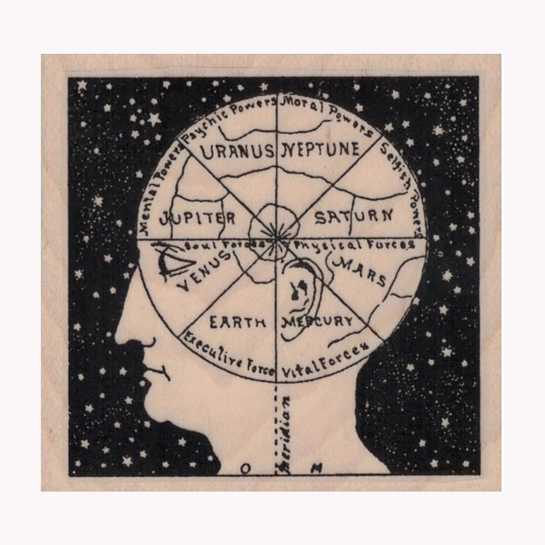 Astro Phrenology Brain RUBBER STAMP, Brain Diagram Stamp, Mixed Media ...