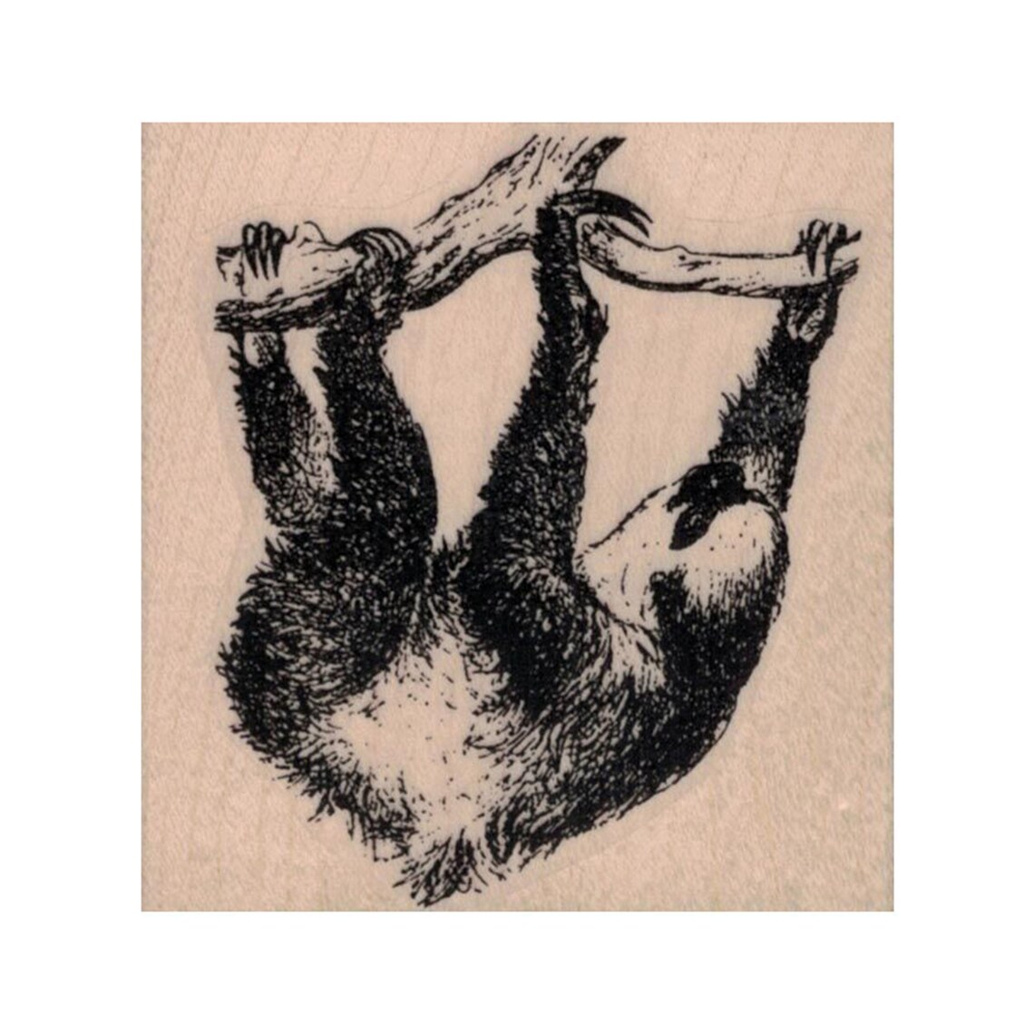 Sloth Hanging From Branch RUBBER STAMP Three Toe Sloth Stamp - Etsy