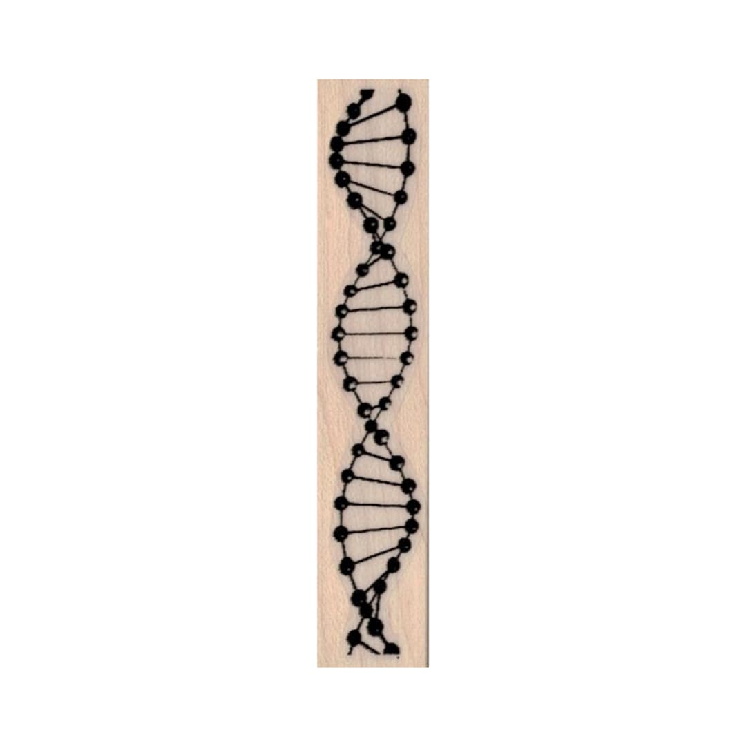 DNA Strand/helix Rubber Stamp, DNA Stamp, Double Helix Stamp, Science ...