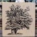 Leafy Tree RUBBER STAMP Tree Stamp Woods Stamp Outdoor - Etsy