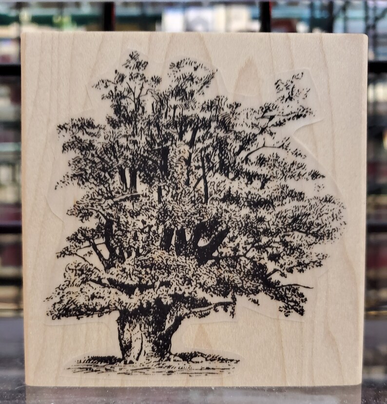 Leafy Tree RUBBER STAMP Tree Stamp Woods Stamp Outdoor | Etsy