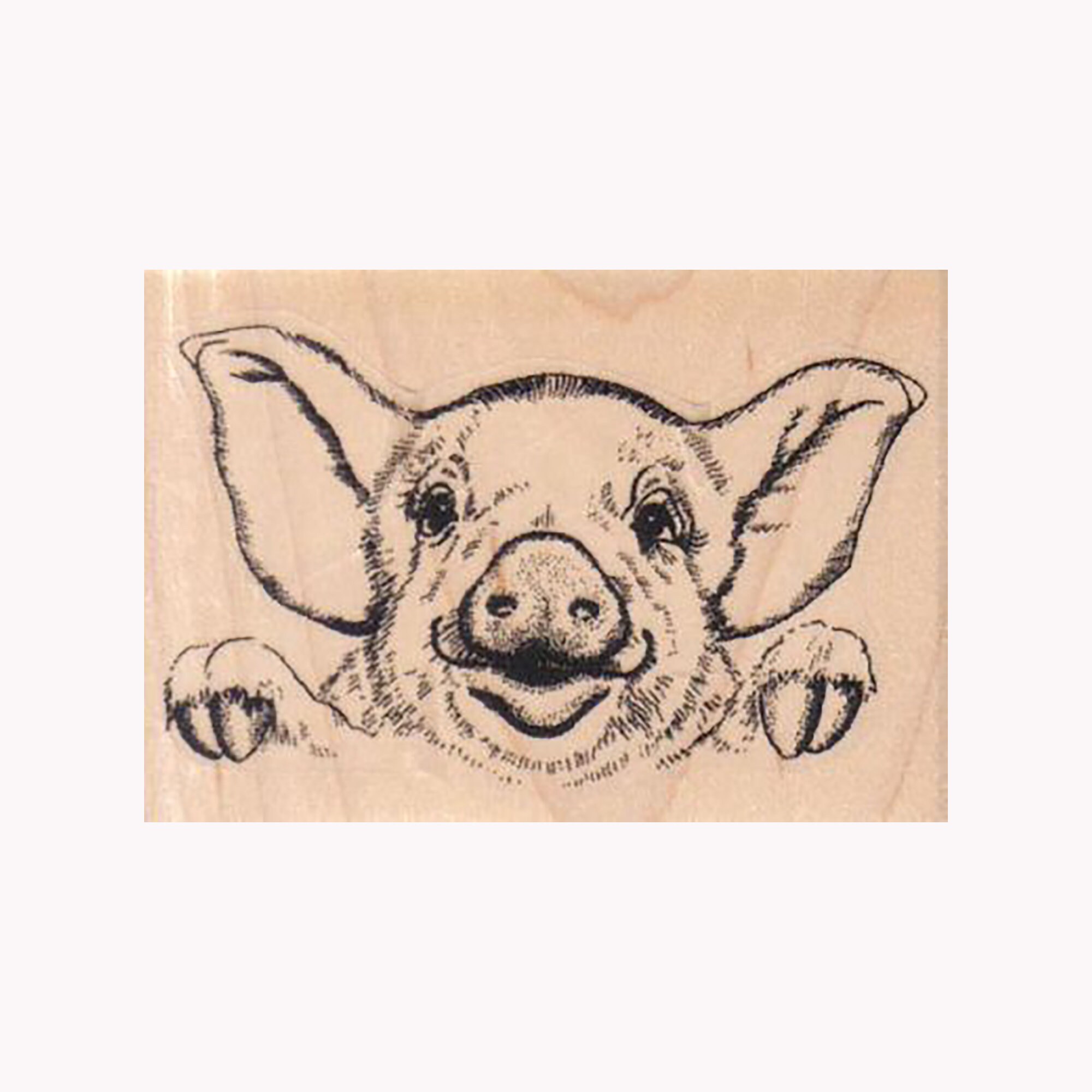 Pig Peering RUBBER STAMP Pig Stamp Pig Lover Stamp Little | Etsy