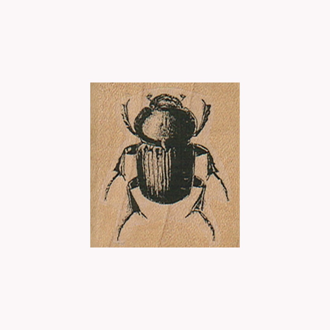 Beetle RUBBER STAMP, Insect Stamp, Bug Stamp, Entomology Stamp, Beetle ...