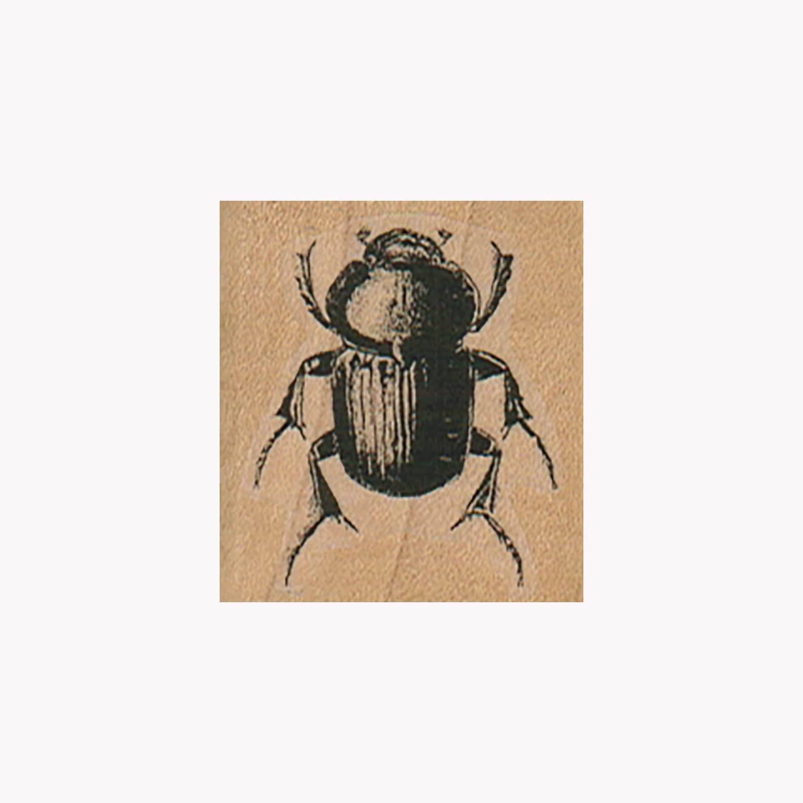 Beetle RUBBER STAMP Insect Stamp Bug Stamp Entomology - Etsy