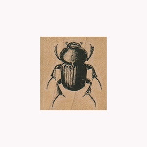 Beetle RUBBER STAMP, Insect Stamp, Bug Stamp, Entomology Stamp, Beetle ...