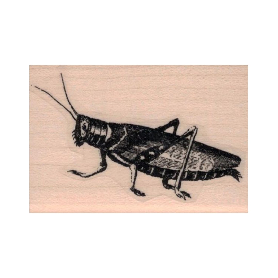 Grasshopper RUBBER STAMP, Nature Stamp, Locust Stamp, Cricket Stamp ...